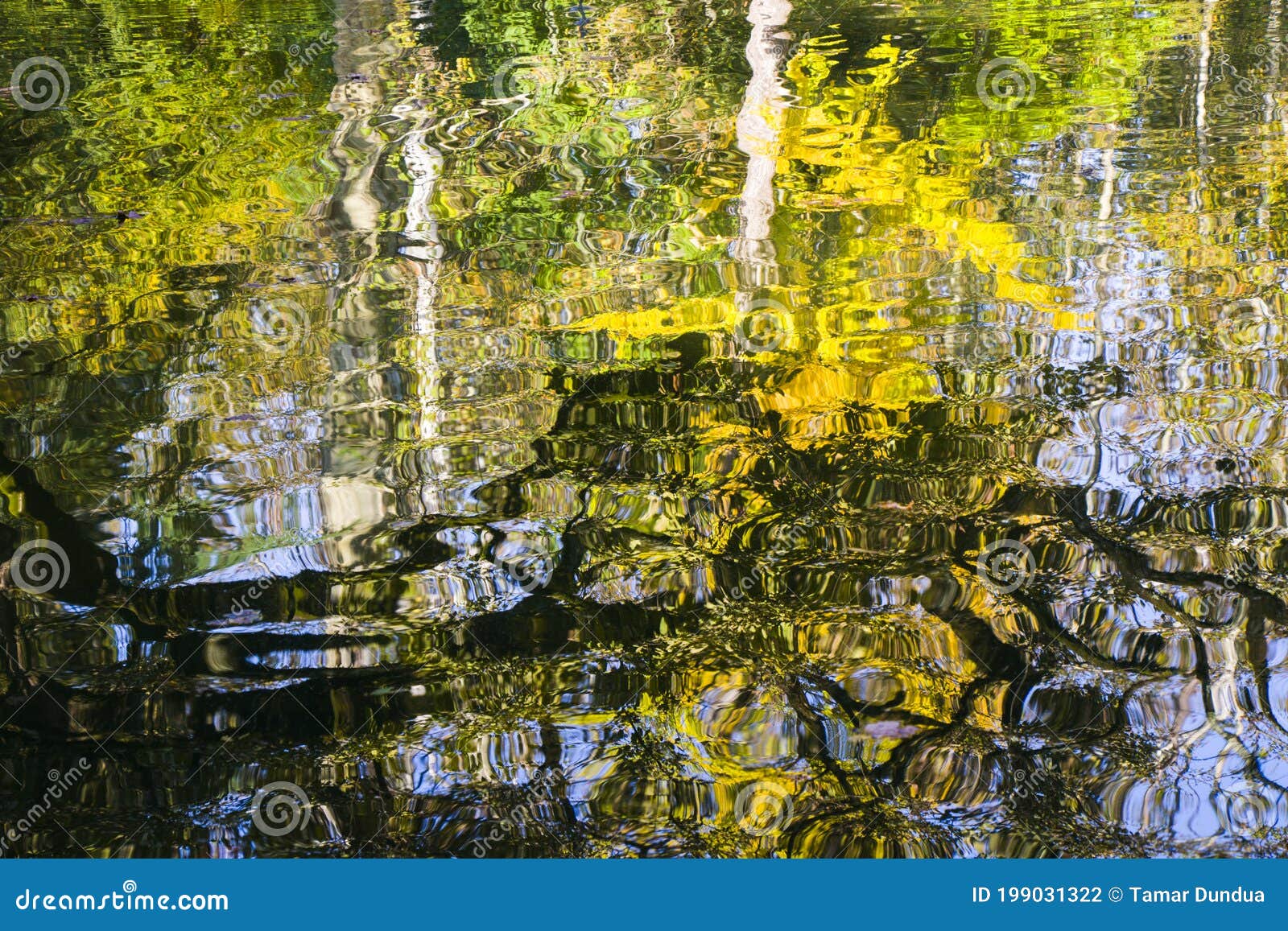 Pond Water Reflection Abstract Background, Autumn Time Stock Photo ...