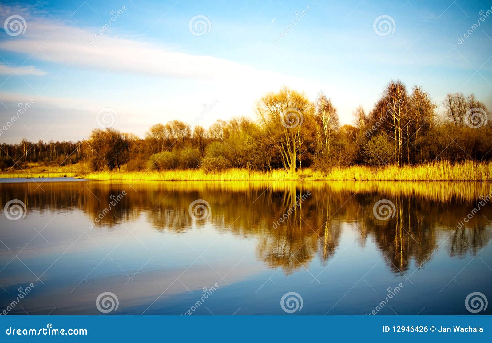 Pond Water Surface with Reflection Stock Photo - Image of colorful ...