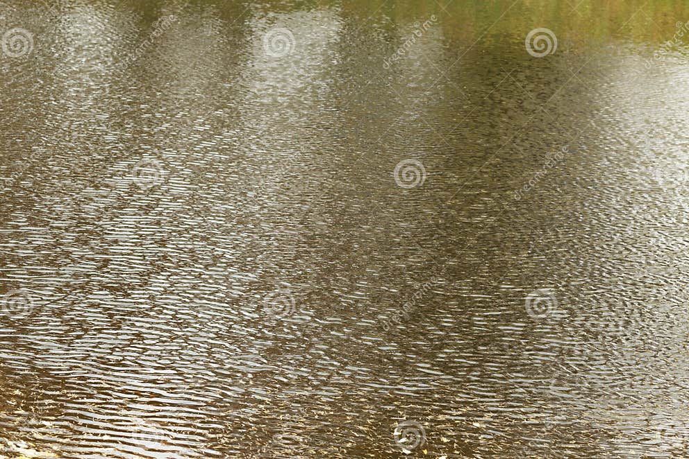 Pond Water Surface with Small Waves Stock Photo - Image of weather ...