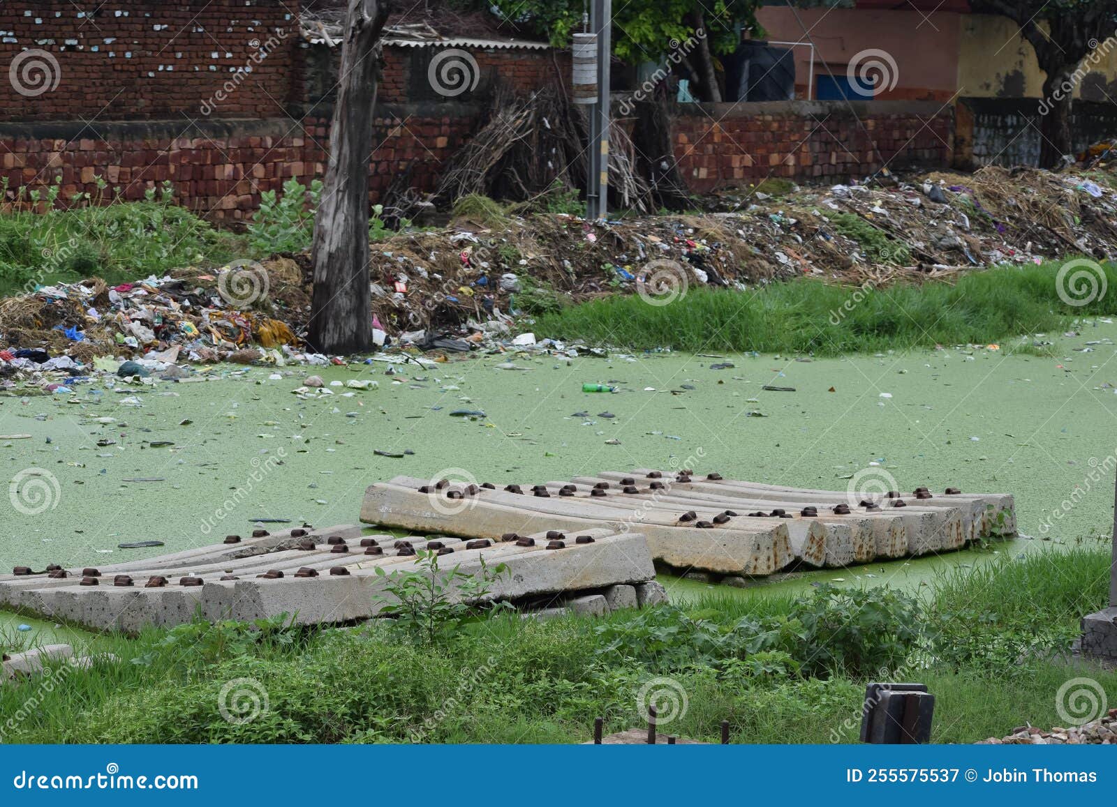 A Pond Which is Full of Waste Stock Image - Image of detail, dirty ...