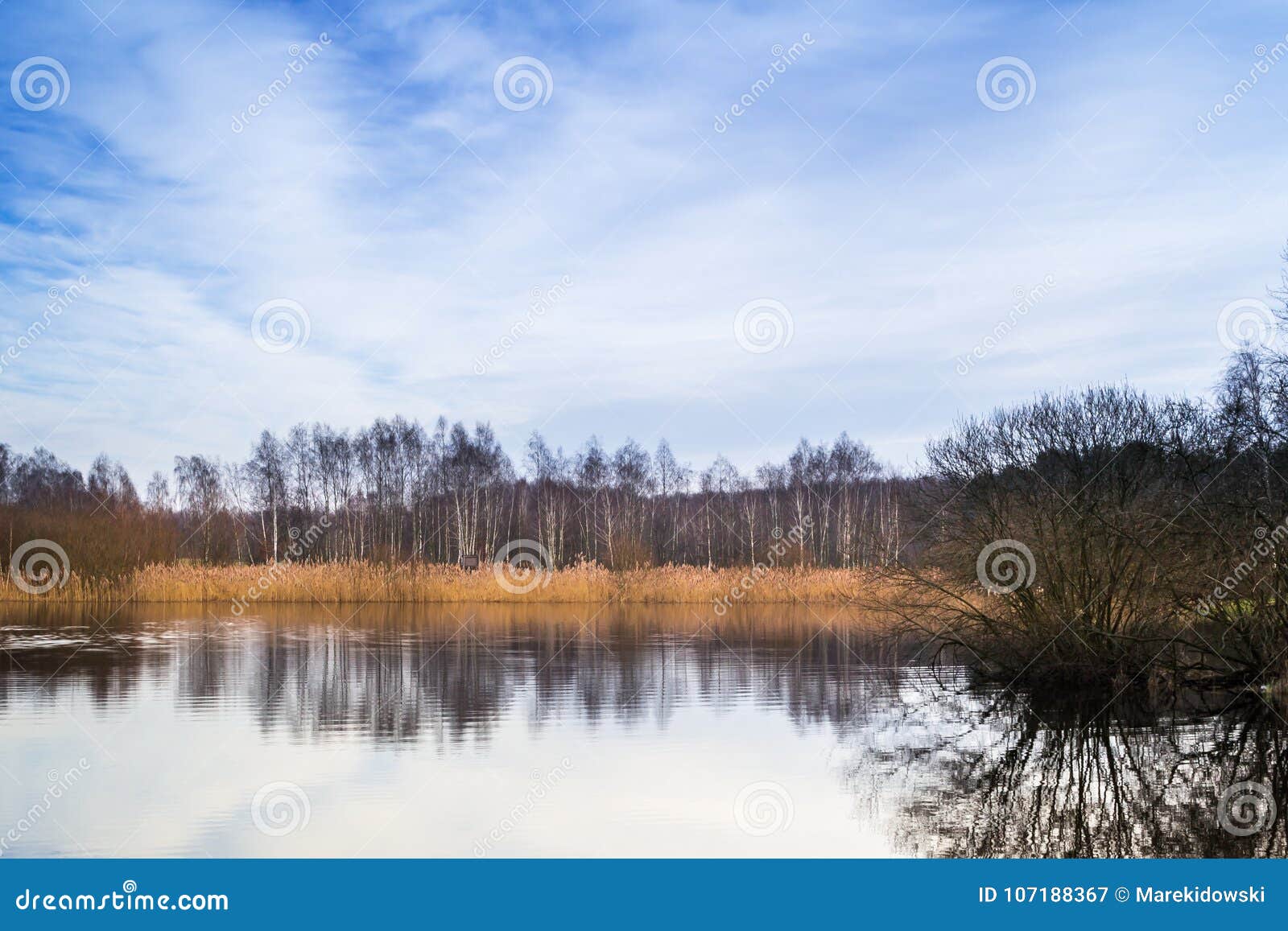 Snowless Installment Stock Photos - Free & Royalty-Free Stock Photos ...