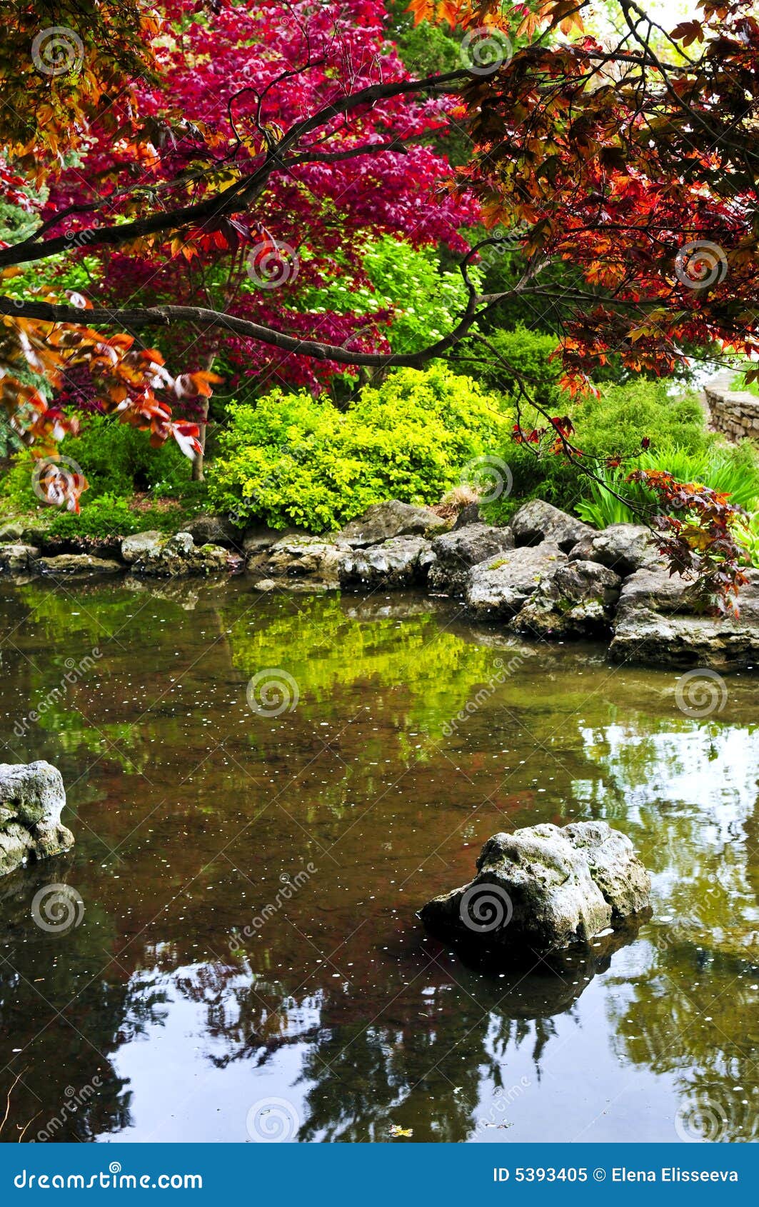 Pond in zen garden stock image. Image of landscaped, outdoor - 5393405