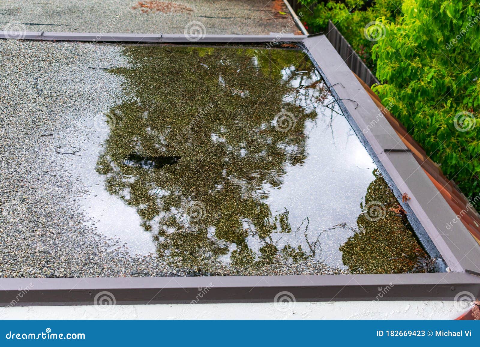 Ponding Standing Water on a Flat Roof after Heavy Rain Stock Image ...