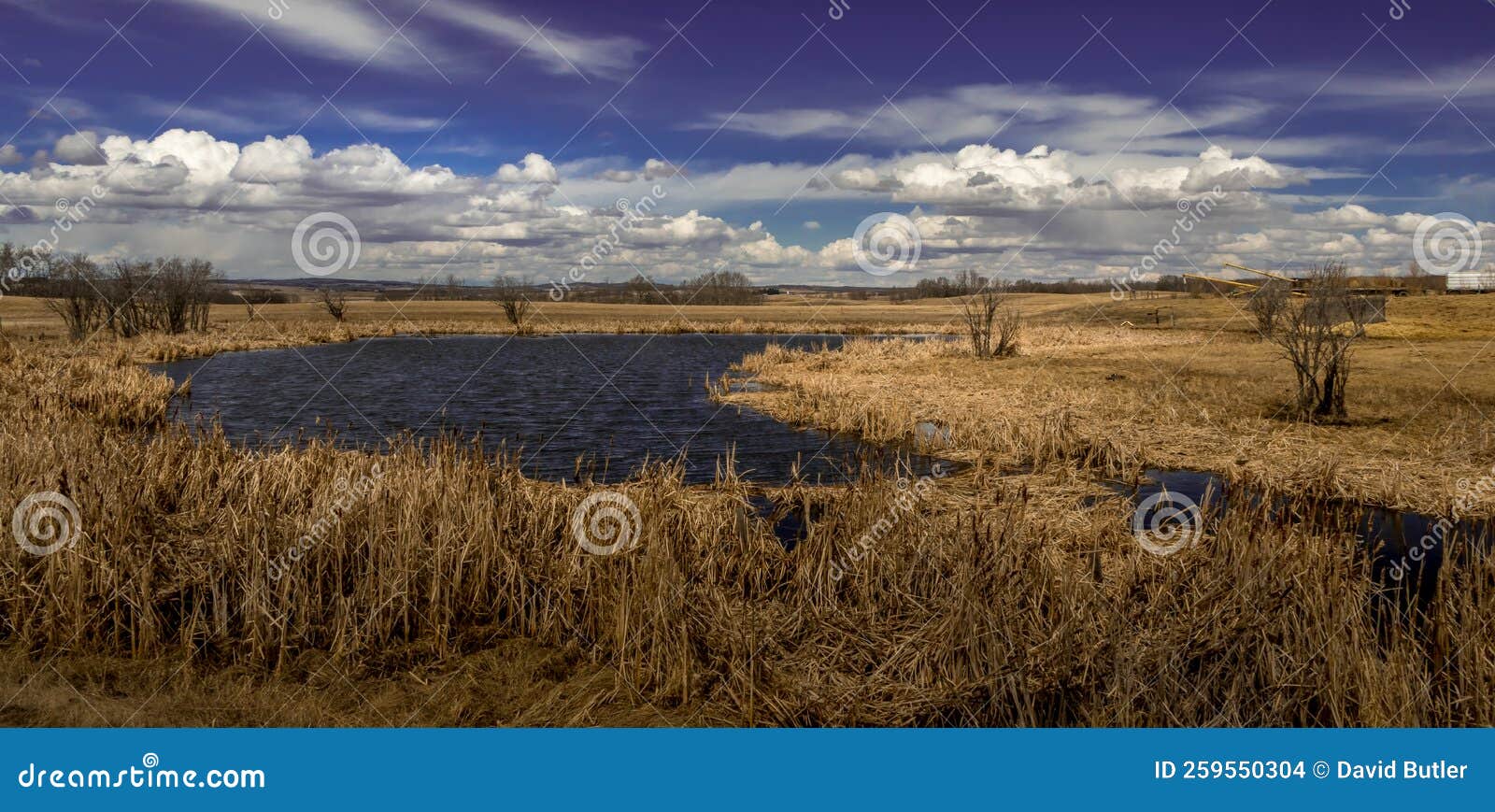 Ponds in the Field Red Deer County Alberta Canada Stock Photo - Image ...