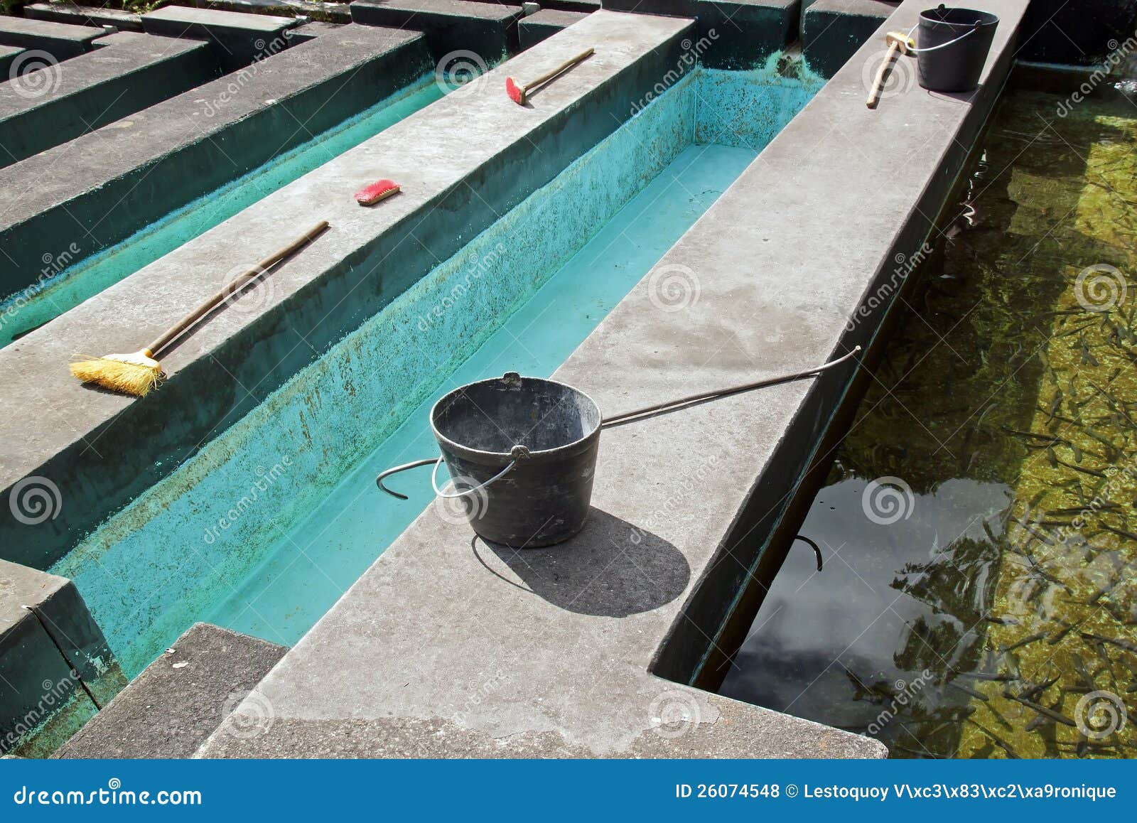 Ponds of Fish Farming and Its Equipment Stock Photo - Image of farming ...
