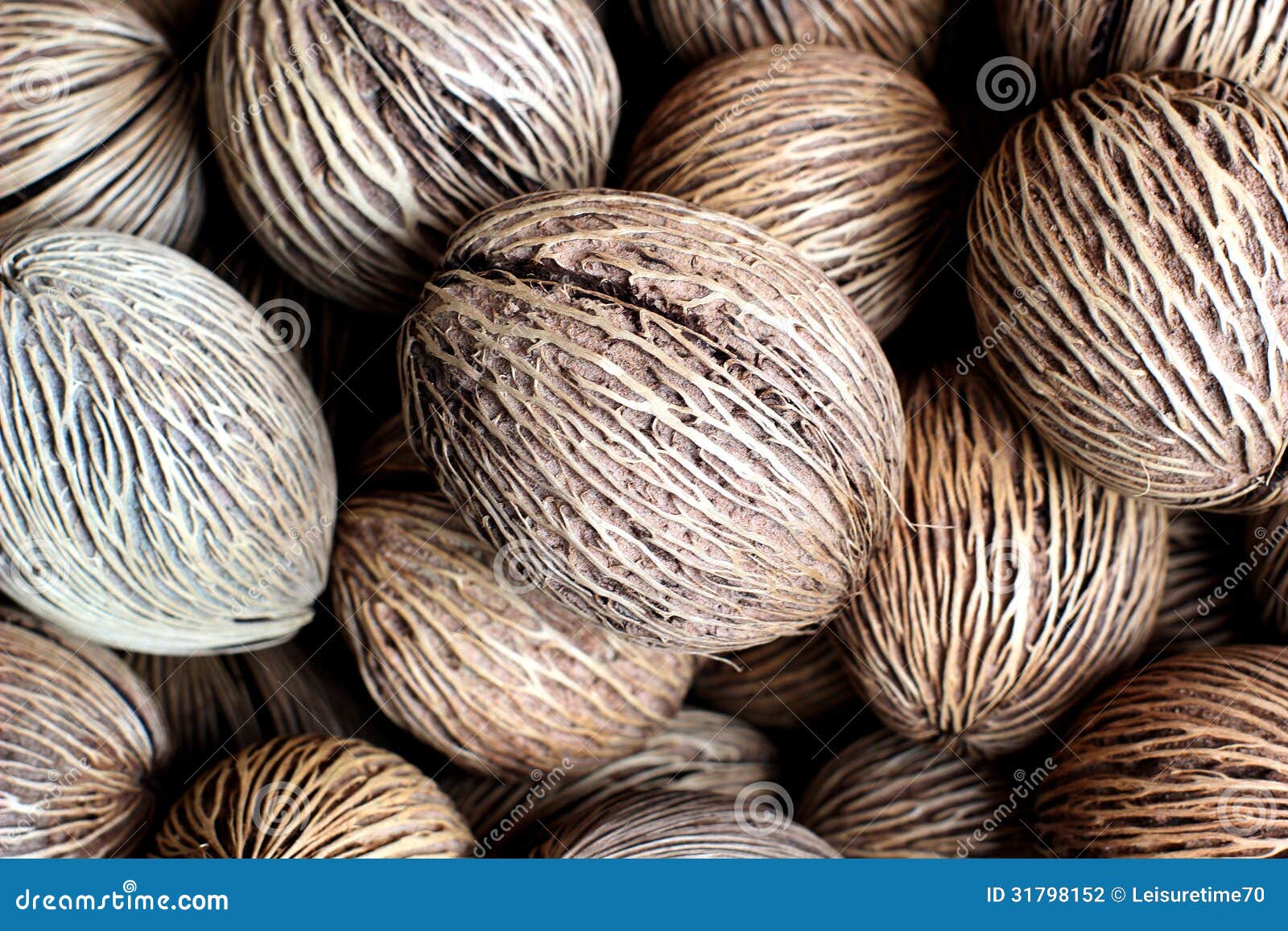 Pong pong seed stock photo. Image of object, natural - 31798152