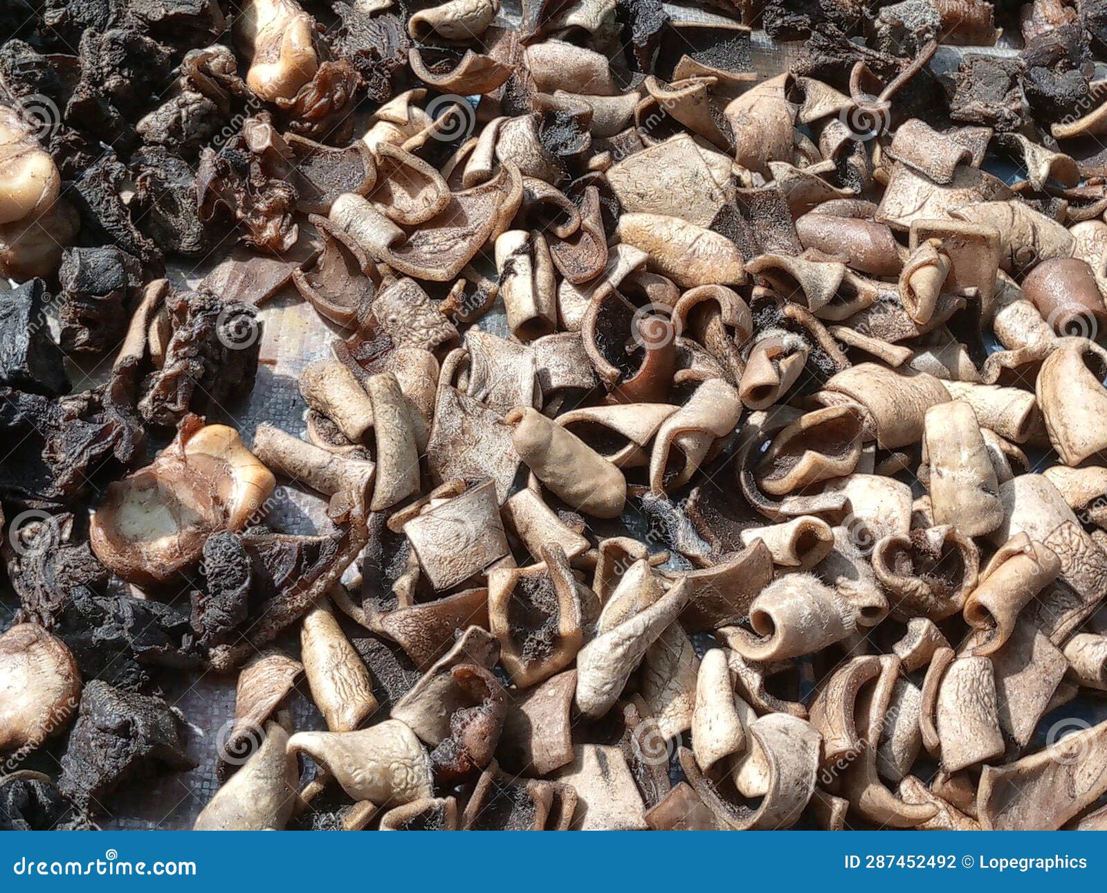 Ponmo for Cooking Stew Soups and Vegetable Stock Photo - Image of stew ...