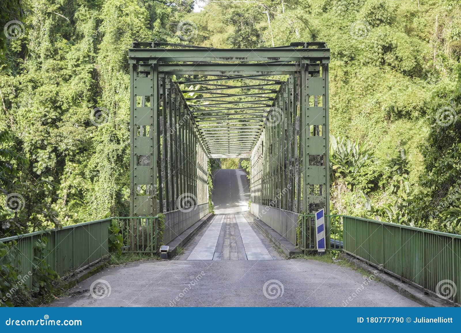 Pont De Grand Riviere in Martinique Stock Photo - Image of jungle ...