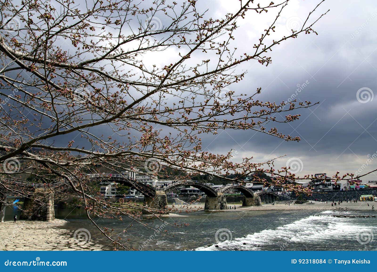 Pont De Kintai Dans Iwakuni Image stock éditorial - Image du voûte ...