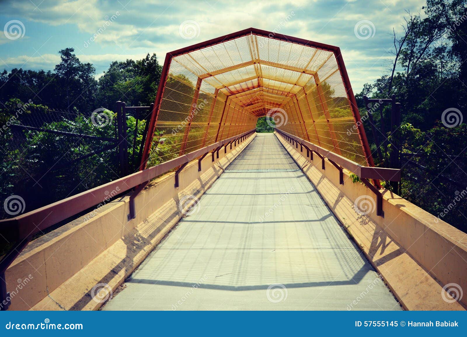 Pont de marche image stock. Image du avances, scénique - 57555145