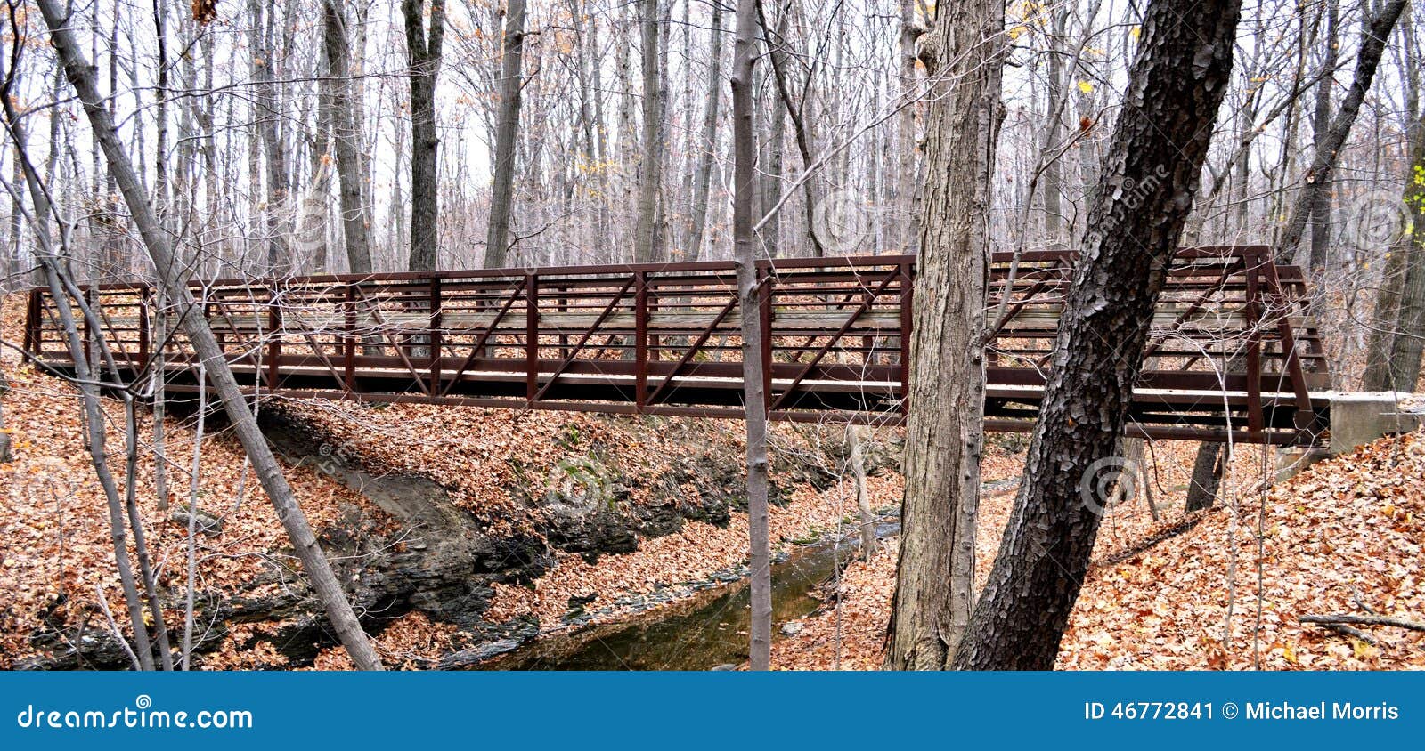 Pont en chemin image stock. Image du vert, railroad, grand - 46772841