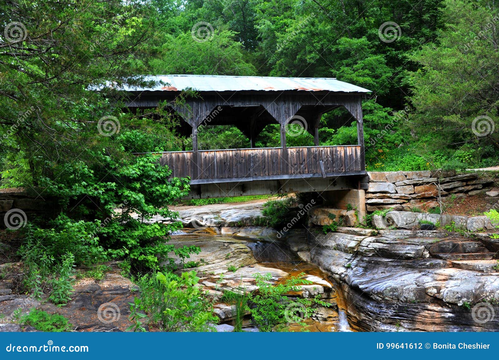 Ponte Coperto Dell'Arkansas Fotografia Stock - Immagine di arkansas ...