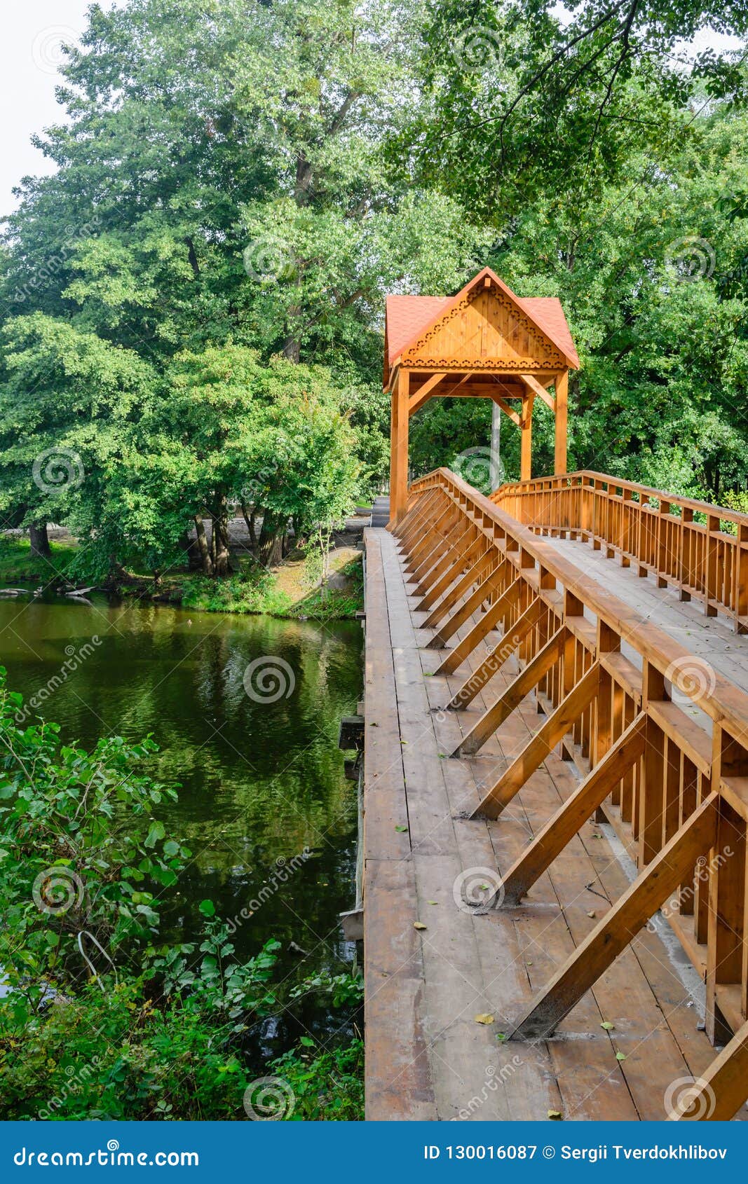 Ponte De Madeira Velha Sobre O Rio Com Mandril Forest River Imagem de ...