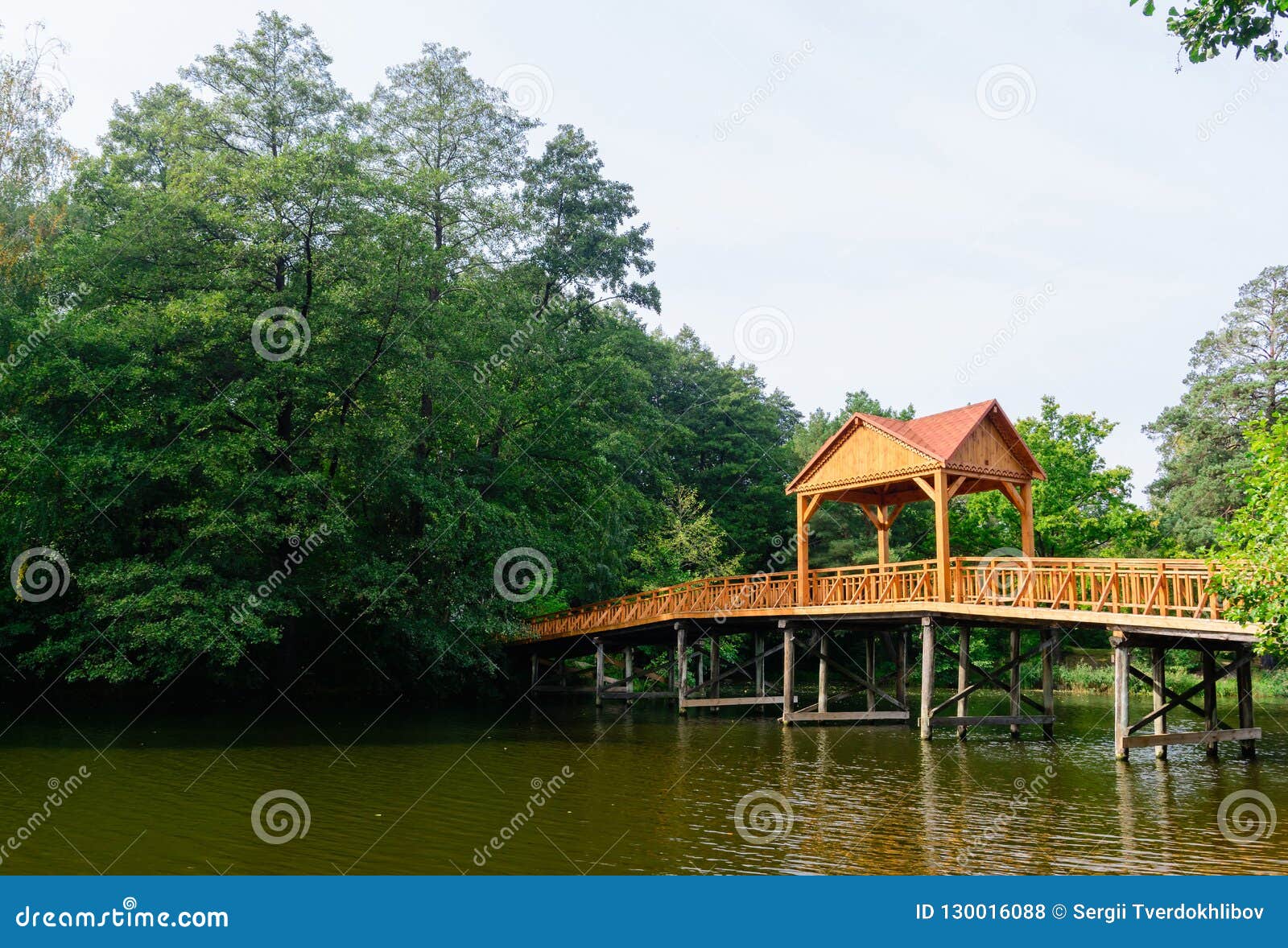 Ponte De Madeira Velha Sobre O Rio Com Mandril Forest River Foto de ...
