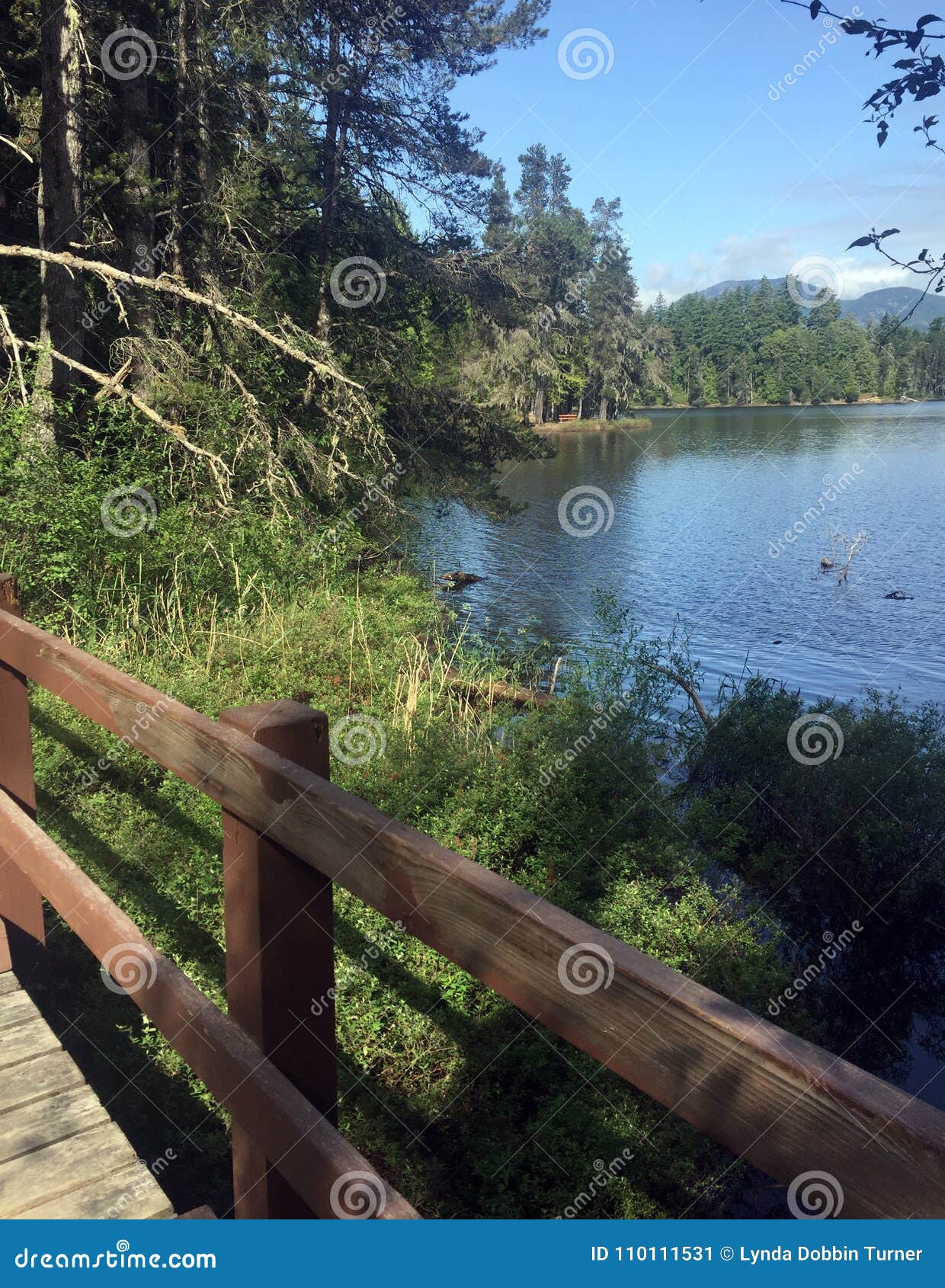 Ponte De Passeio, Parque Provincial Do Lago Spider, BC Imagem de Stock ...