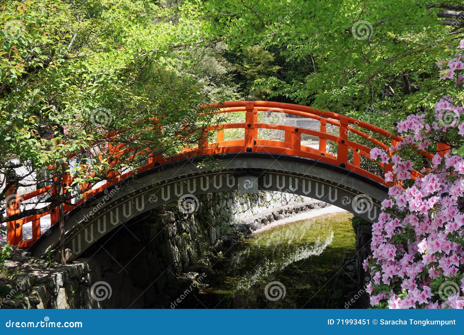 Ponte Di Legno Rosso Giapponese in Parco Immagine Stock - Immagine di ...