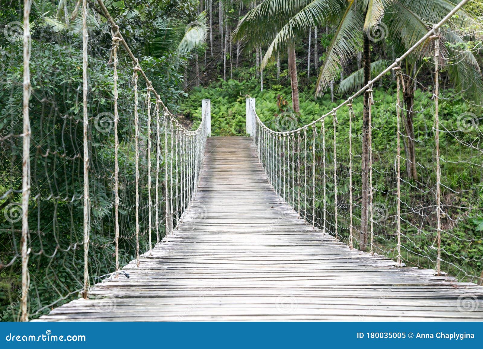 Ponte Suspensa De Madeira Na Selva Imagem de Stock - Imagem de corda ...