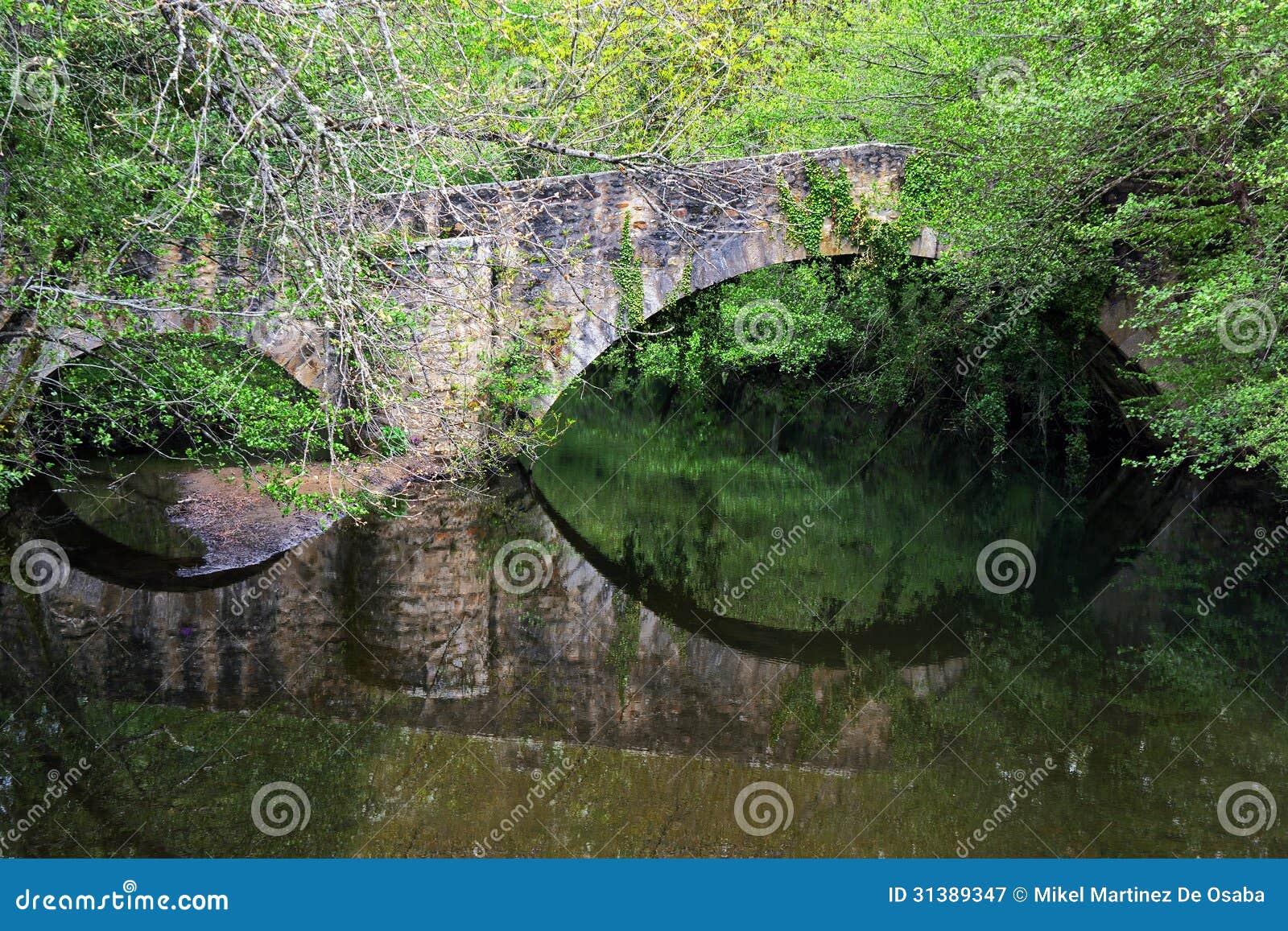 Ponte Velha E De Pedra No Ambiente Natural Imagem de Stock - Imagem de ...