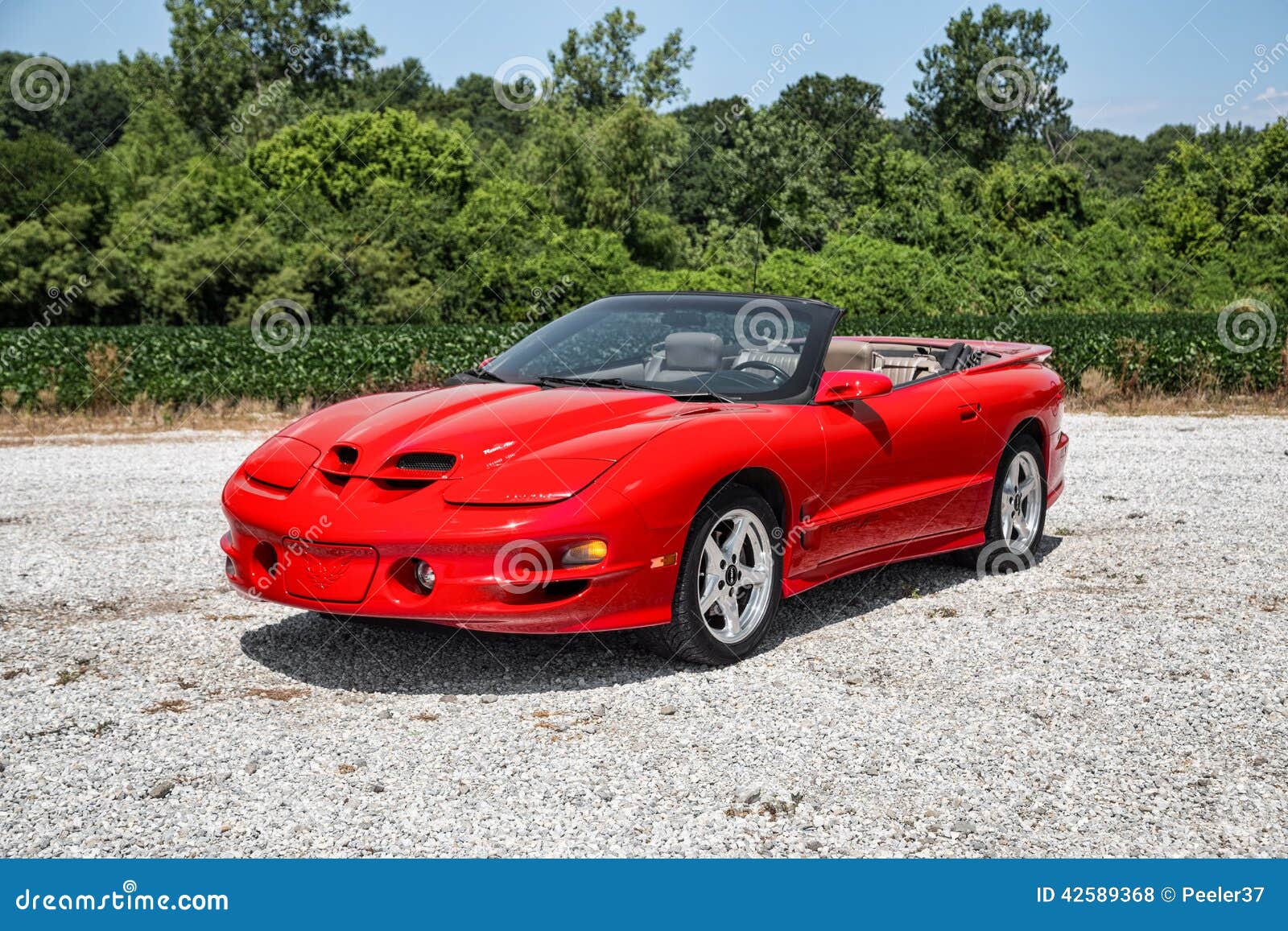 2002 Pontiac Trans am editorial stock photo. Image of automotive - 42589368