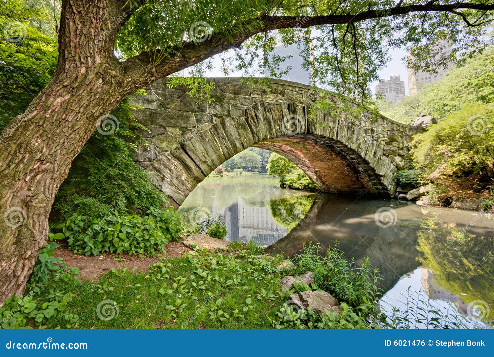 Ponticello in Central Park fotografia stock. Immagine di stagni - 6021476