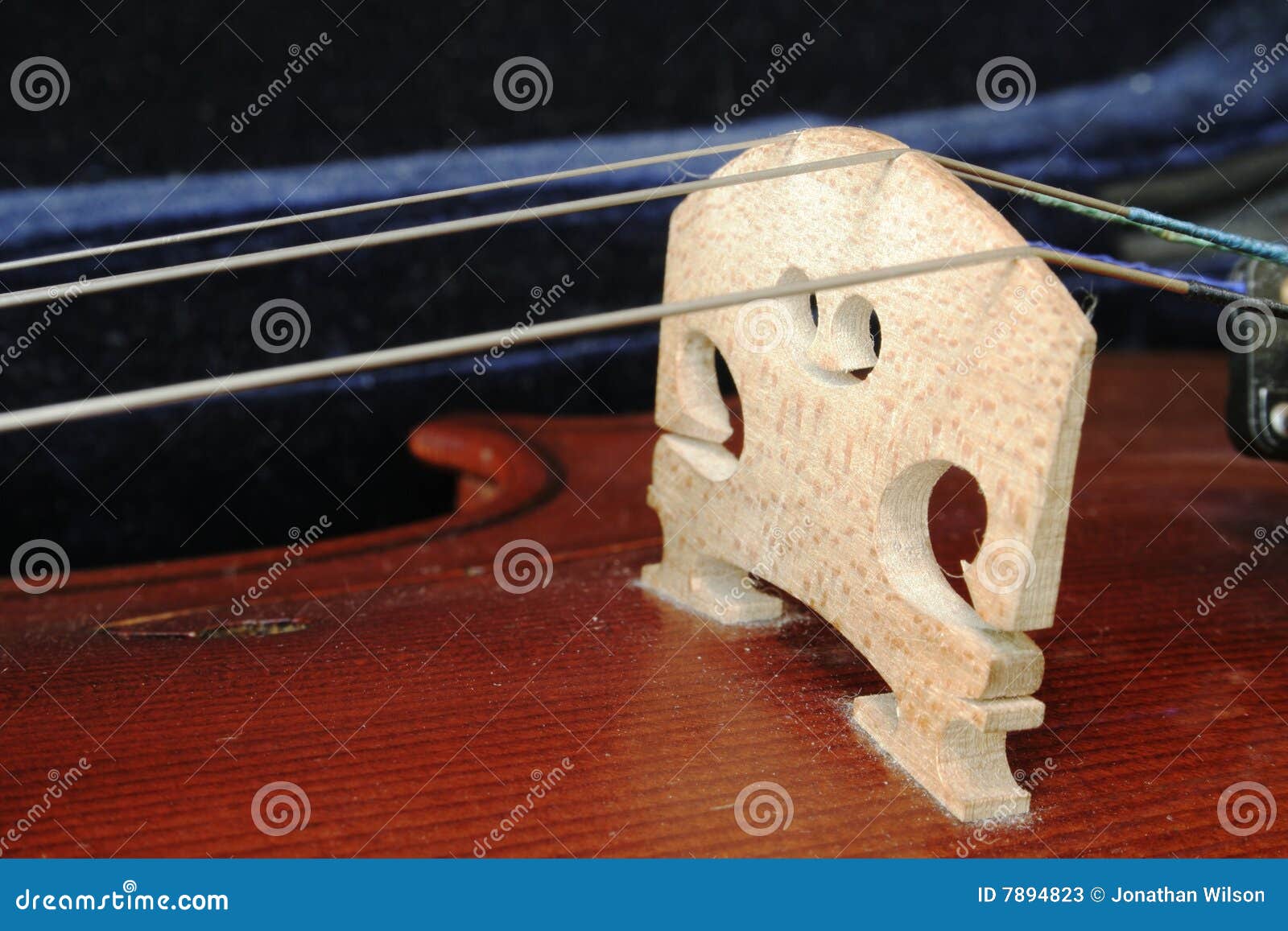 Ponticello del violino immagine stock. Immagine di musicale - 7894823