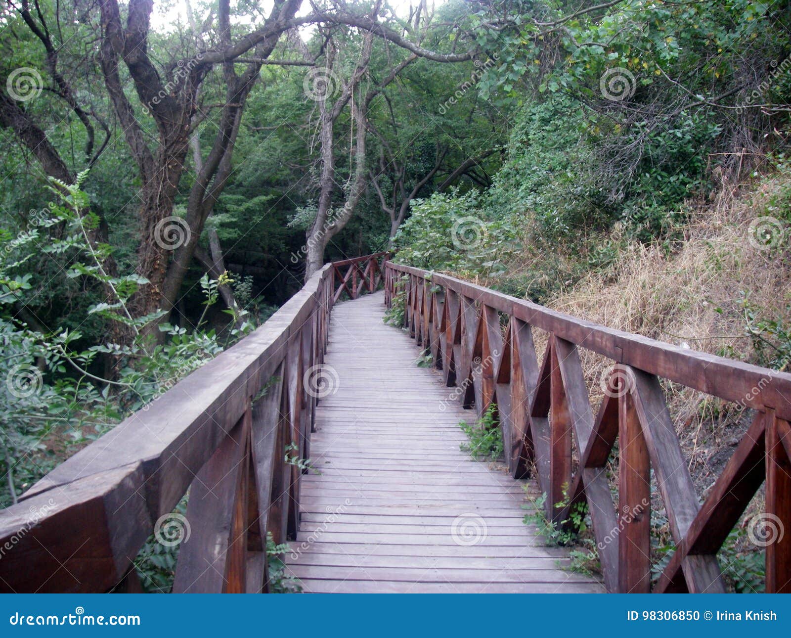 Ponticello di legno fotografia stock. Immagine di foresta - 98306850