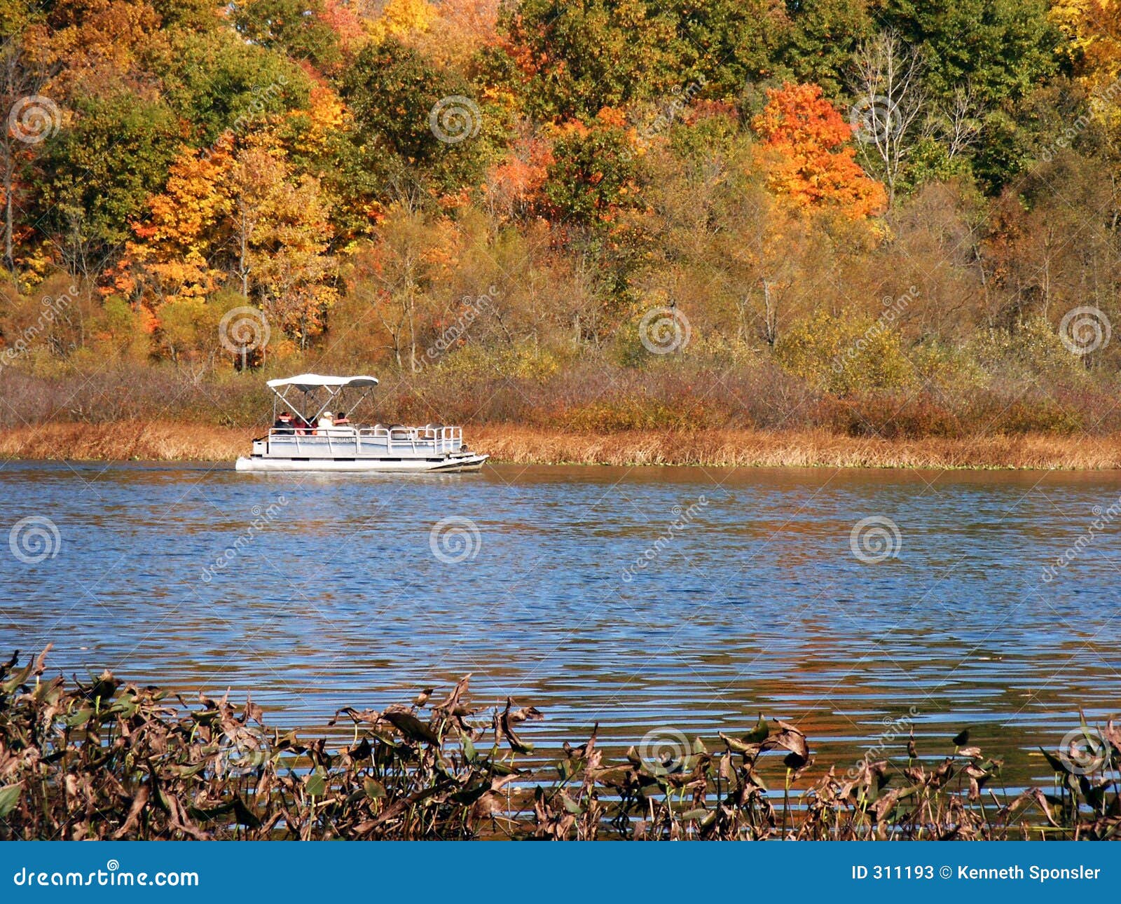 Pontoon Boat and Autumn Trees Stock Image - Image of flatbottom ...