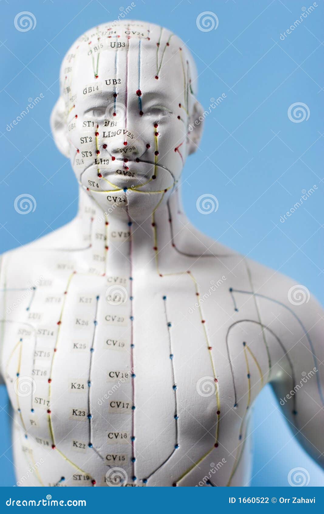 Pontos da acupunctura foto de stock. Imagem de corpo, shiatsu - 1660522