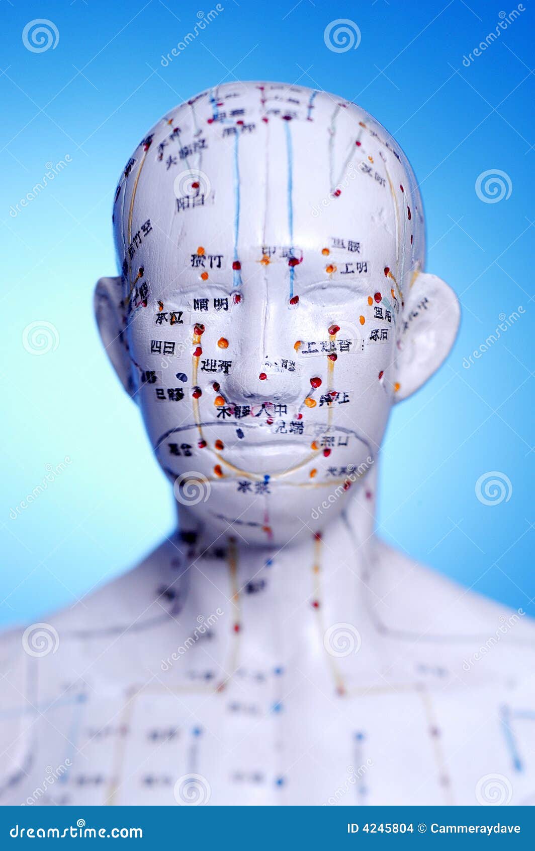 Pontos da acupunctura foto de stock. Imagem de agulha - 4245804