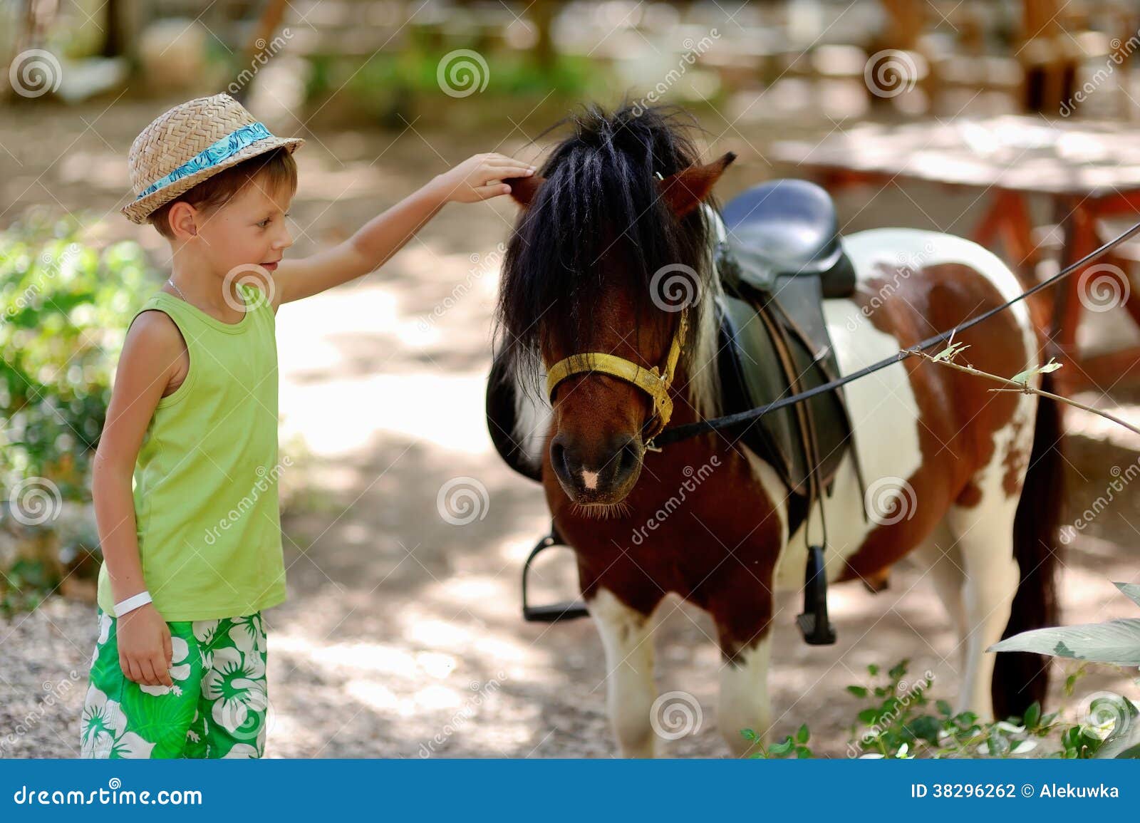 Pony and boy stock photo. Image of isolated, blond, mammal - 38296262