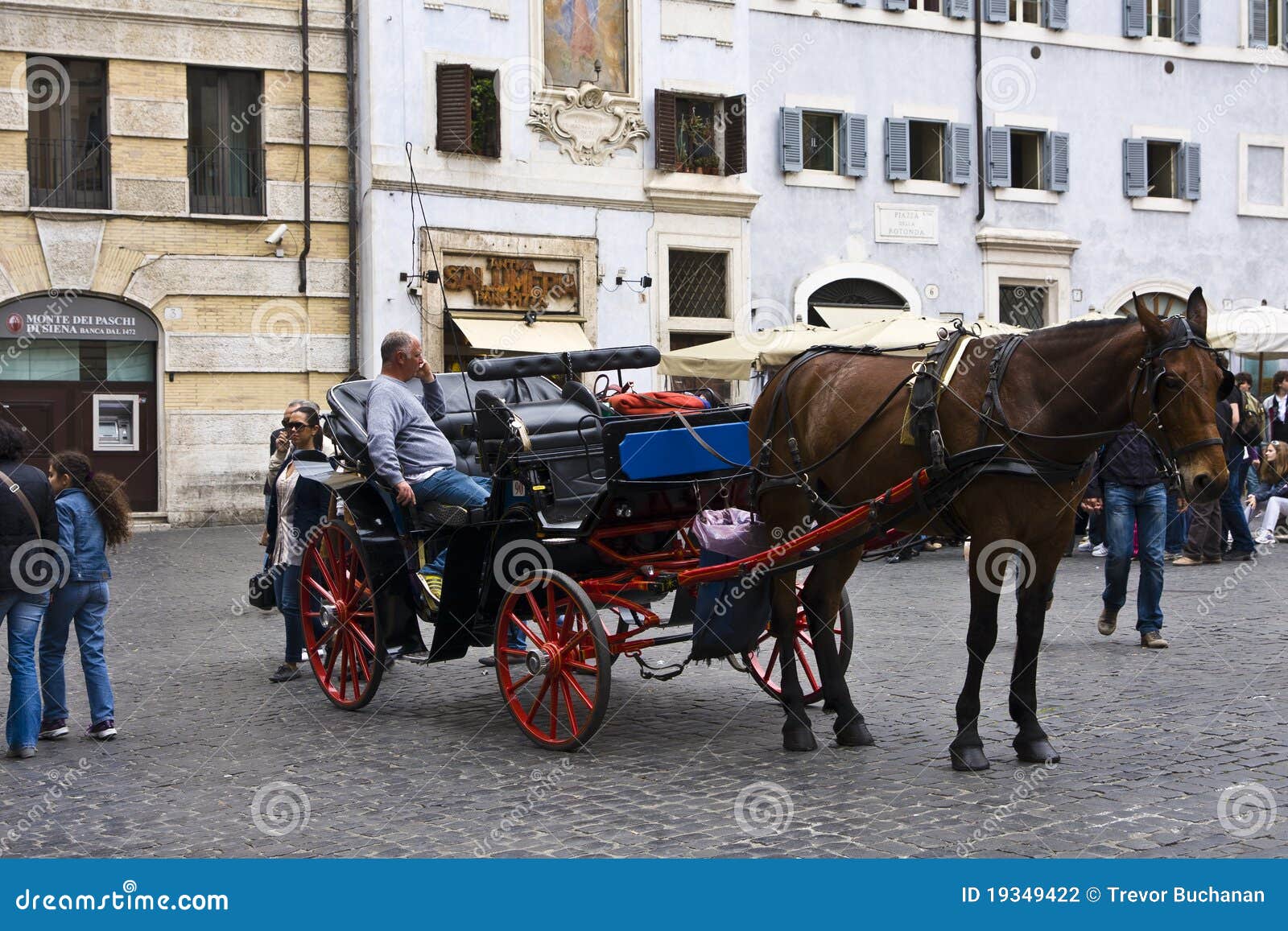 Pony and carriage editorial photography. Image of driver - 19349422