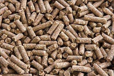 Pony nuts stock image. Image of texture, feed, nutrition - 2677027