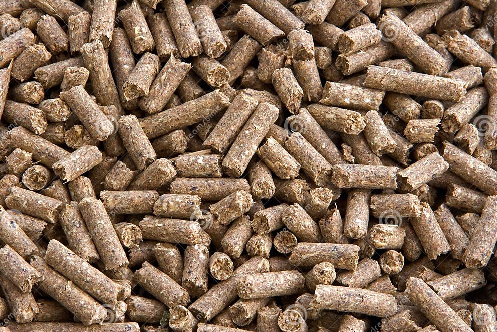 Pony nuts stock image. Image of texture, feed, nutrition - 2677027