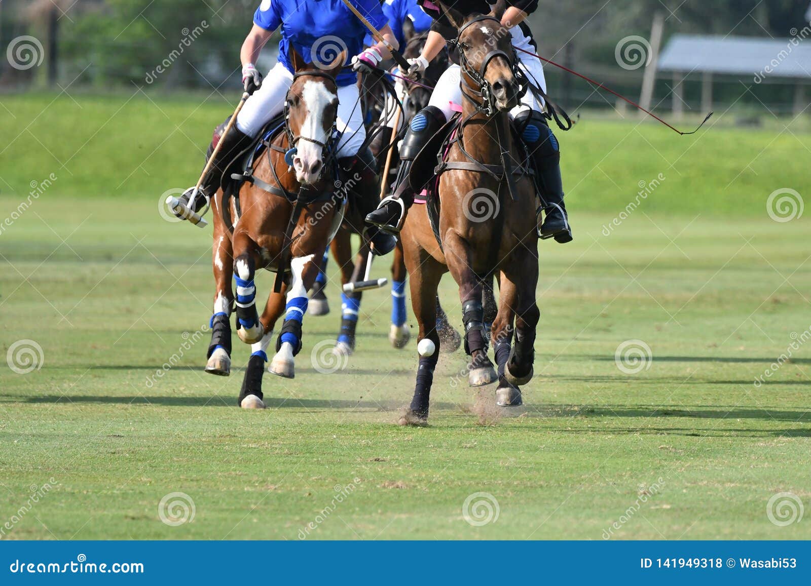 Pony Polo Run in the Game stock photo. Image of stick - 141949318