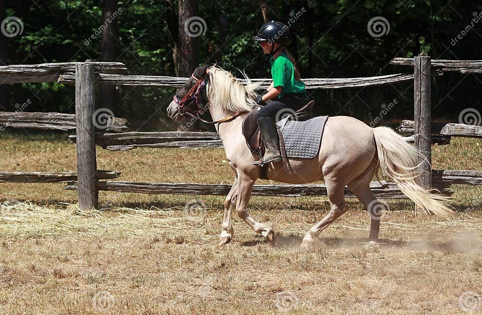 Pony Ride stock image. Image of tail, rider, riding, pony - 25935343
