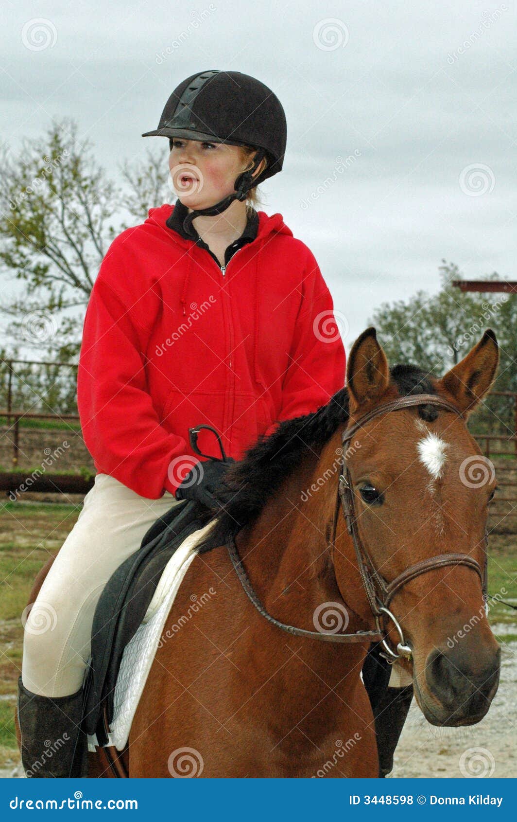 Pony rider stock photo. Image of riding, sport, woman - 3448598