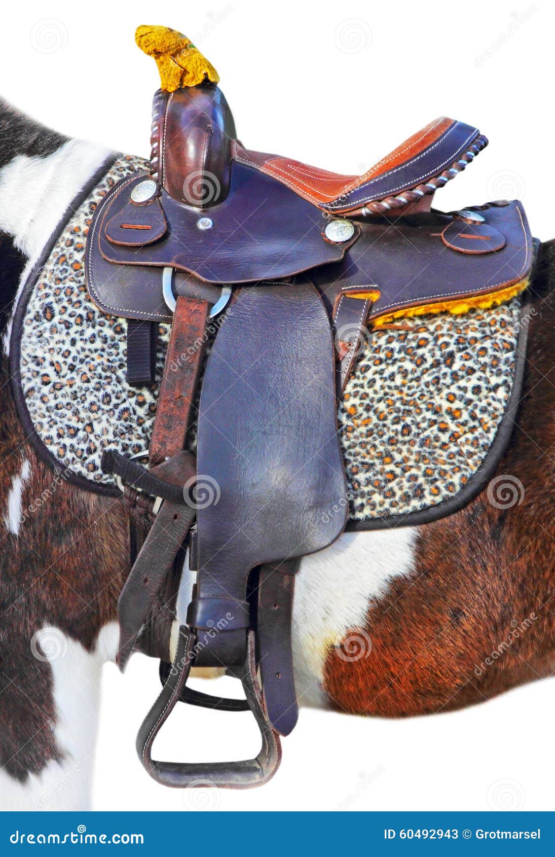 Pony Saddle on White Background. Stock Image - Image of saddle, leather ...
