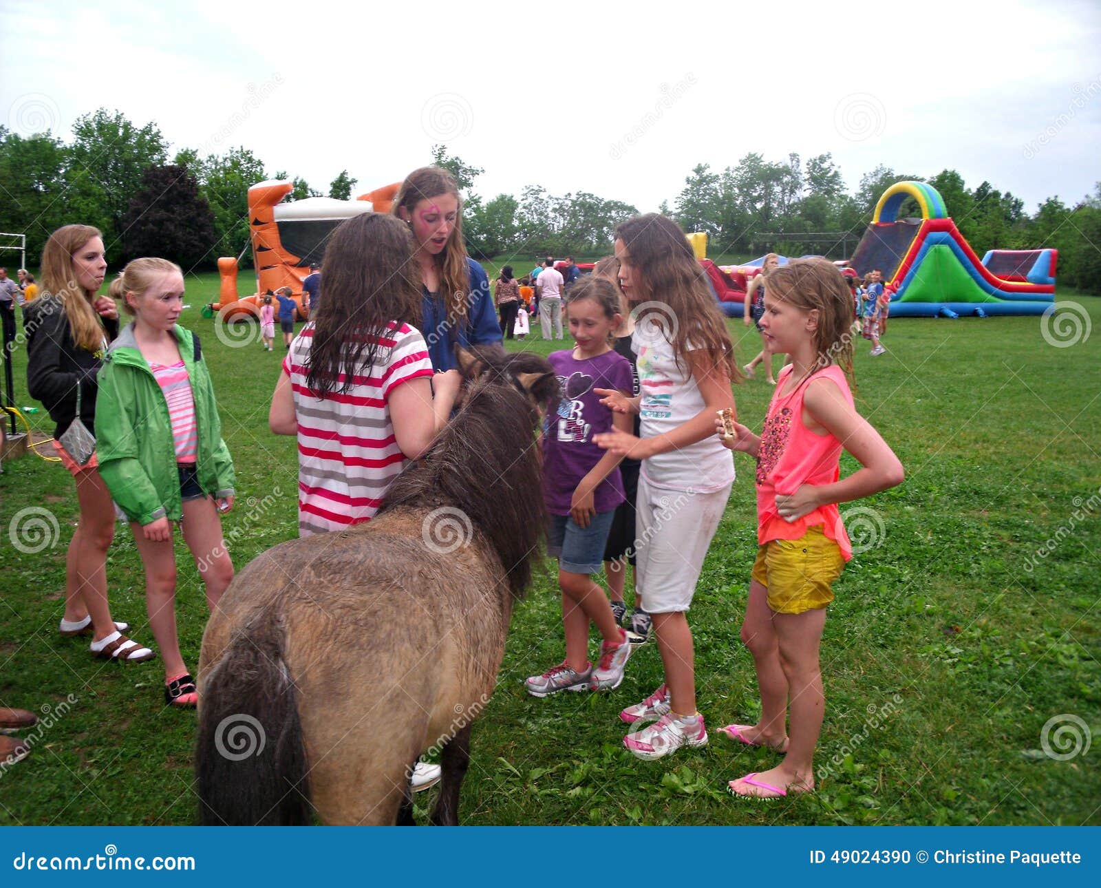 Pony at School Fair editorial image. Image of kids, carnival - 49024390