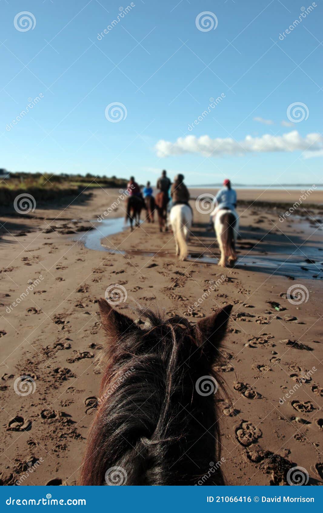 Pony trekking on a beach stock photo. Image of holiday - 21066416