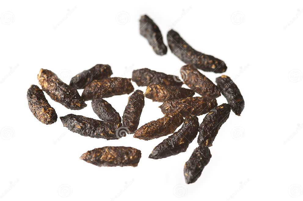 Poo pellets from mouse stock image. Image of shot, animal - 17984919