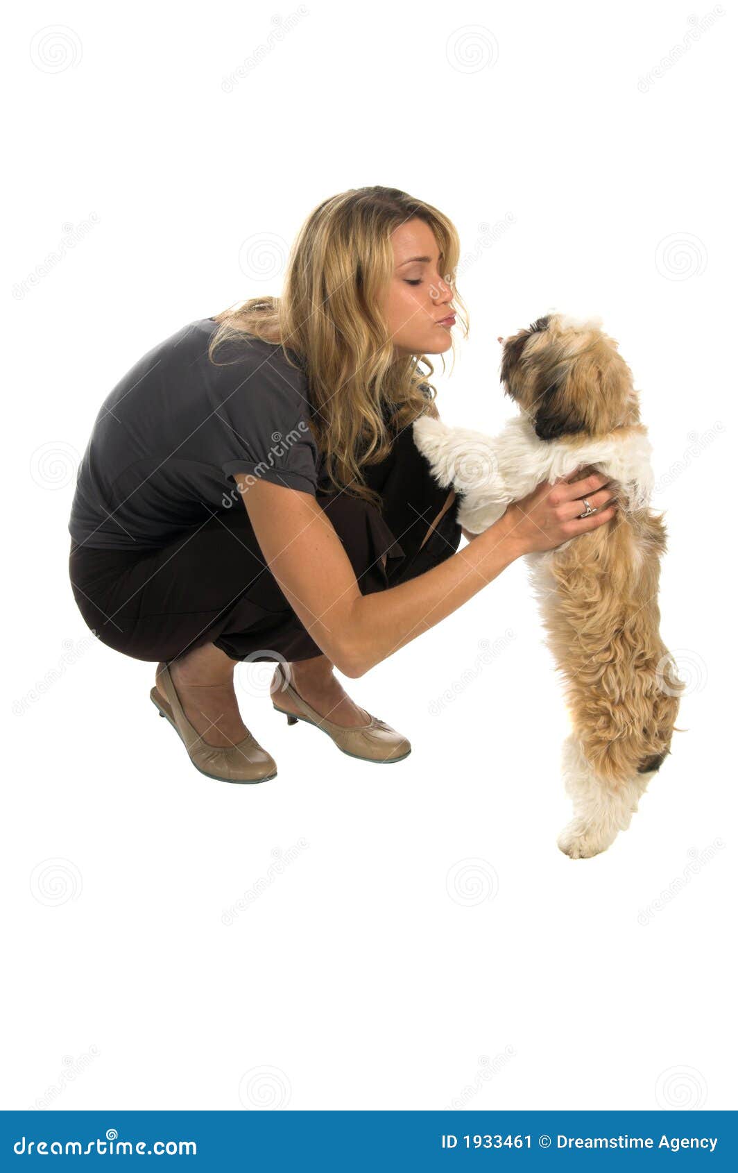 Pooch Smooch stock image. Image of kiss, pooch, responsibility - 1933461