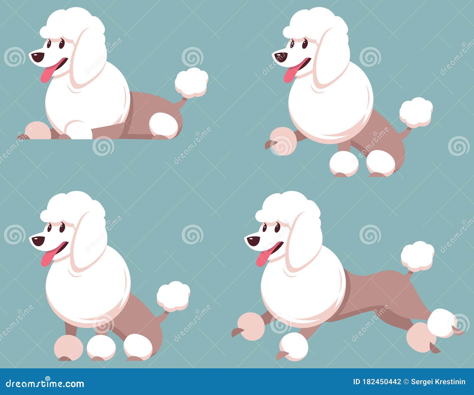 Poodle With Different Haircuts. Flat Design And Silhouette. Vector ...
