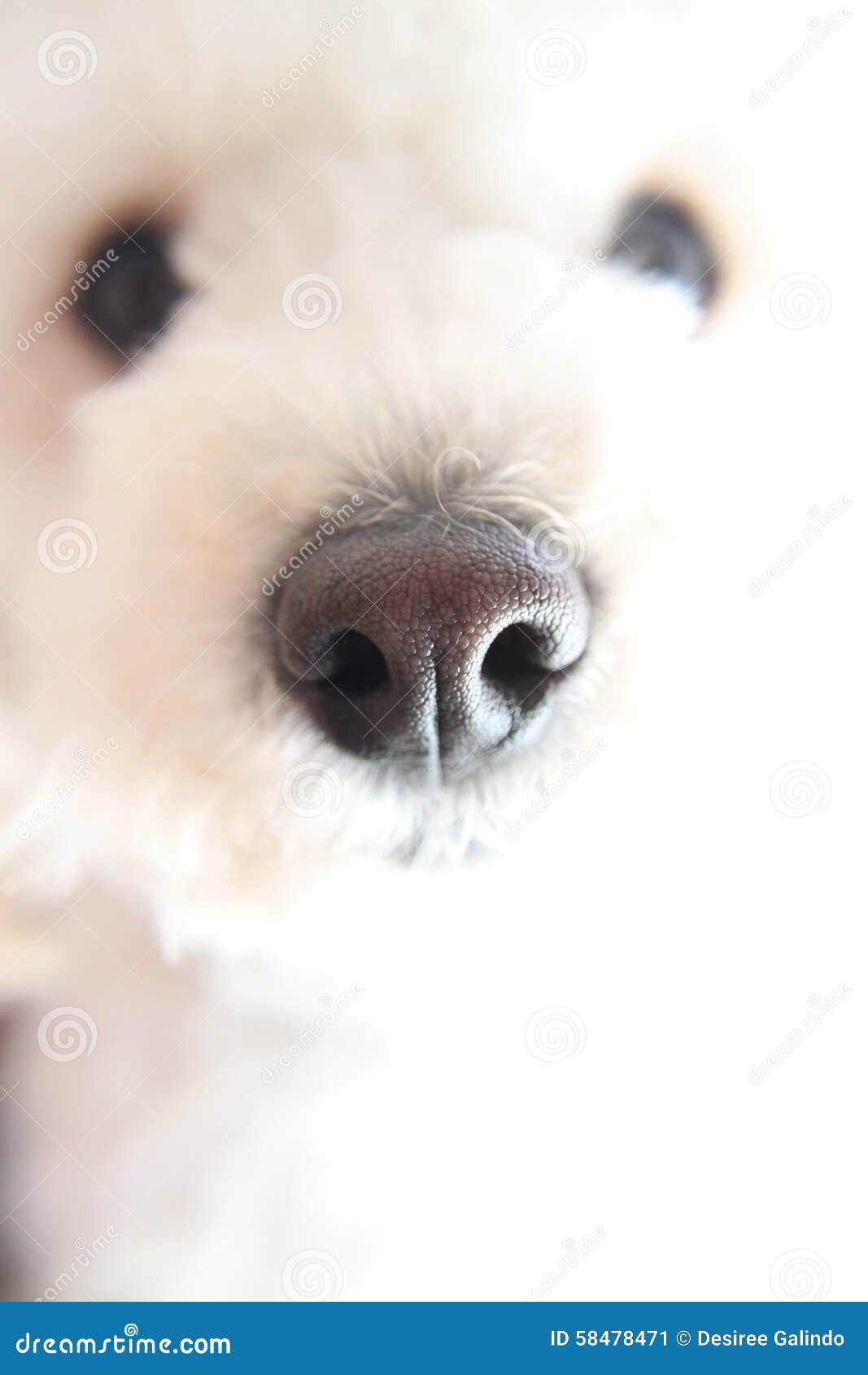 Royalty Free Images, Cartoons, Illustrations And Photos Designed By ...