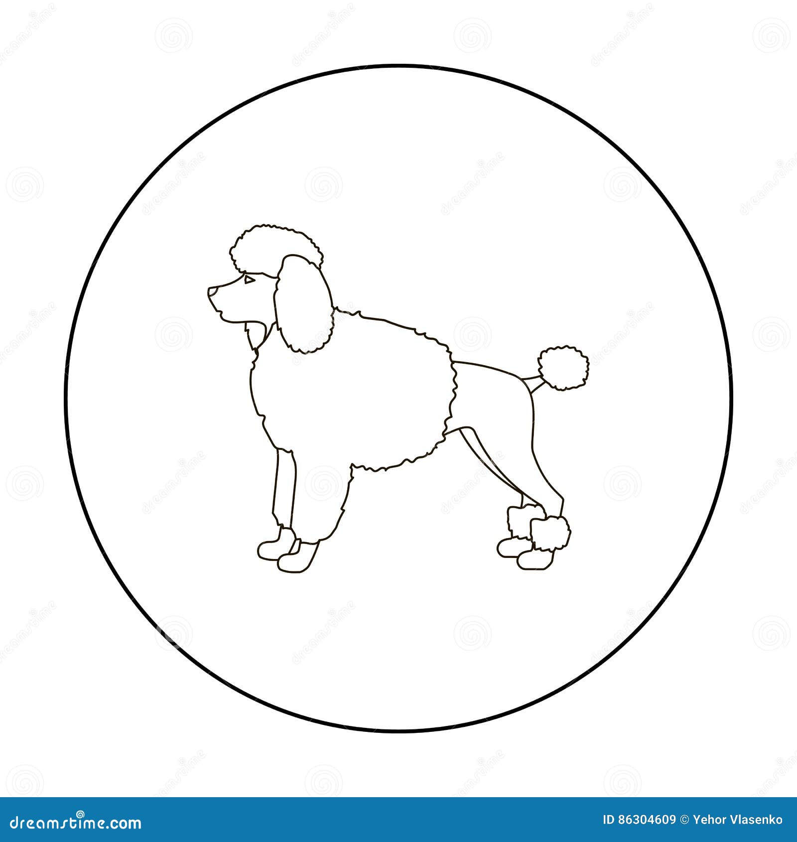 Poodle Vector Icon in Outline Style for Web Stock Vector - Illustration ...