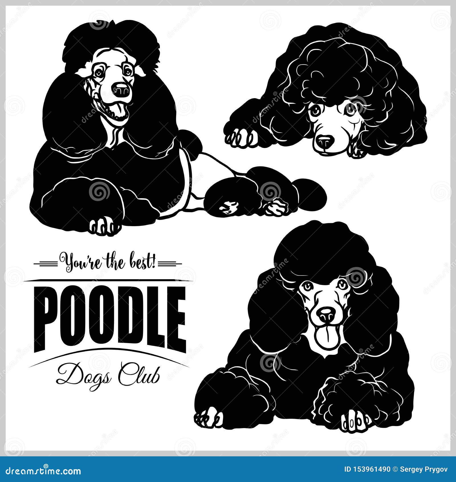 Poodle Vector Black Silhouette | CartoonDealer.com #78991169
