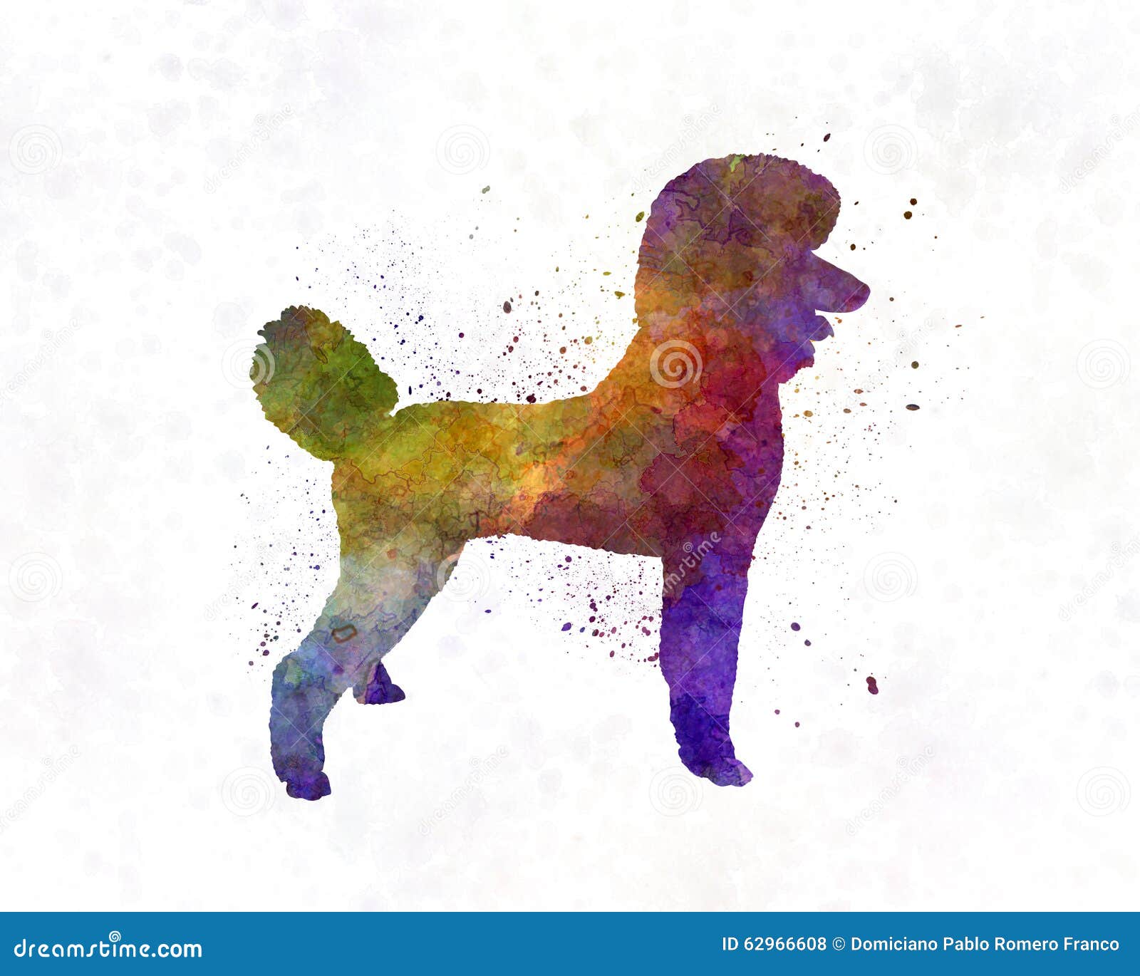 Poodle 01 in watercolor stock illustration. Illustration of poster ...