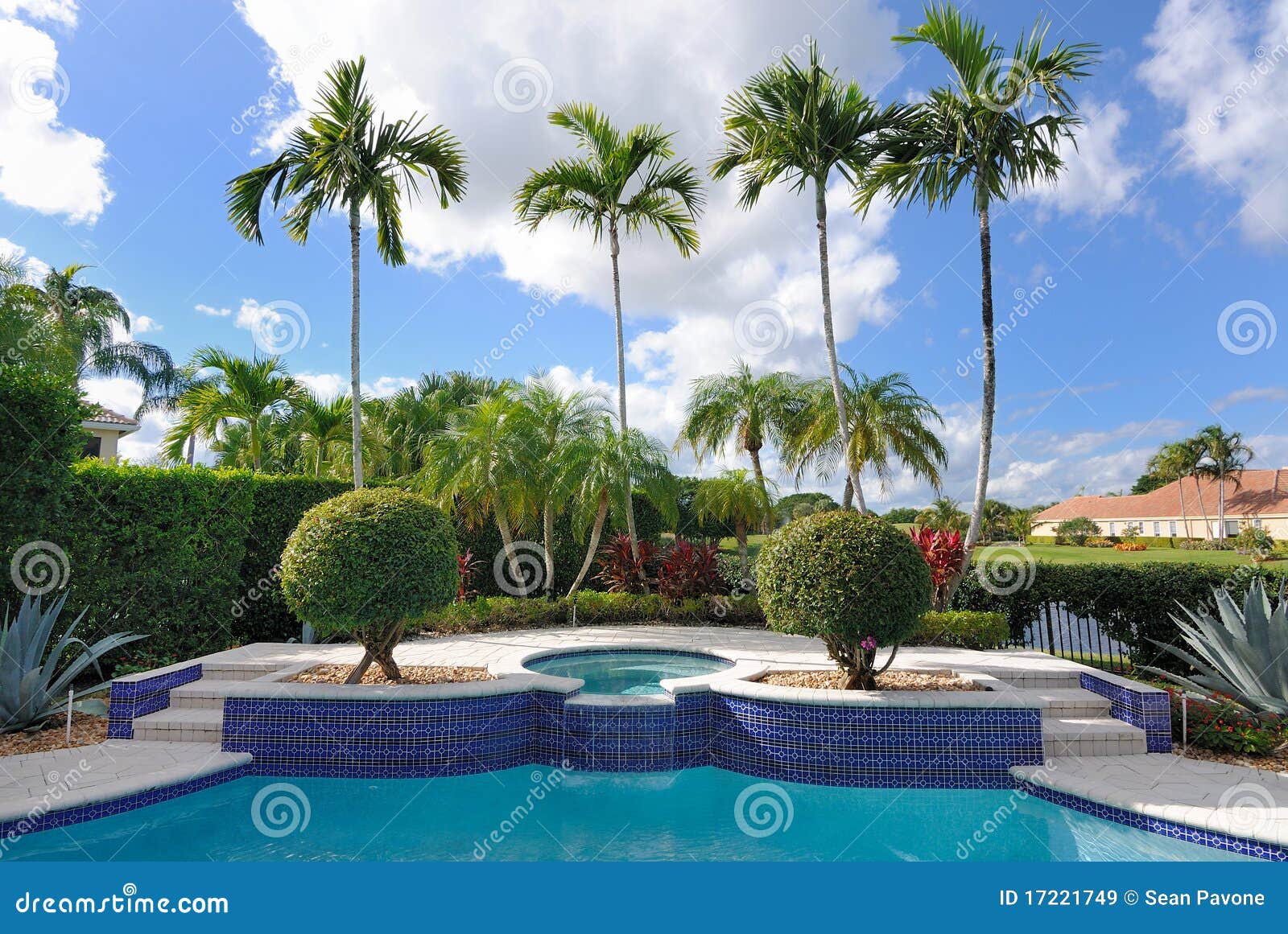 Pool stock image. Image of pool, green, garden, lush - 17221749