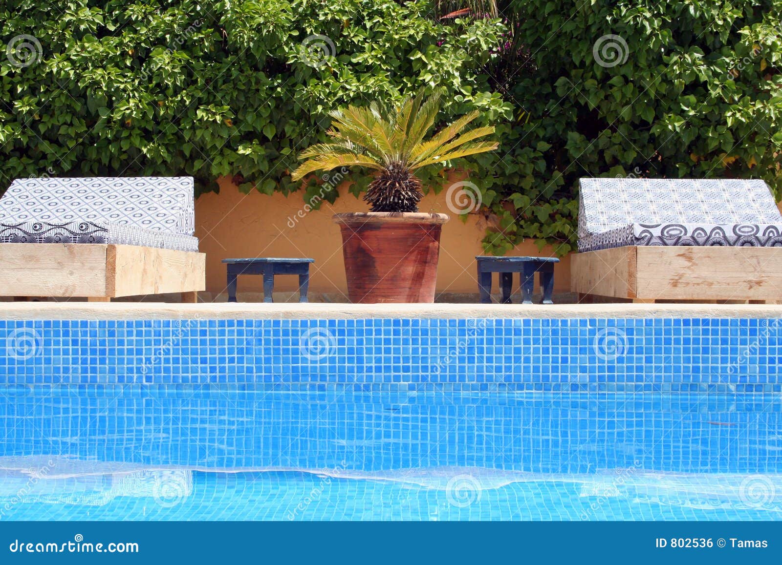 By the pool stock photo. Image of swimming, travelling - 802536