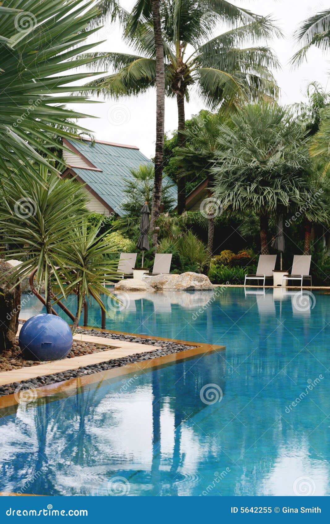 Pool area stock image. Image of exotic, modern, travel - 5642255