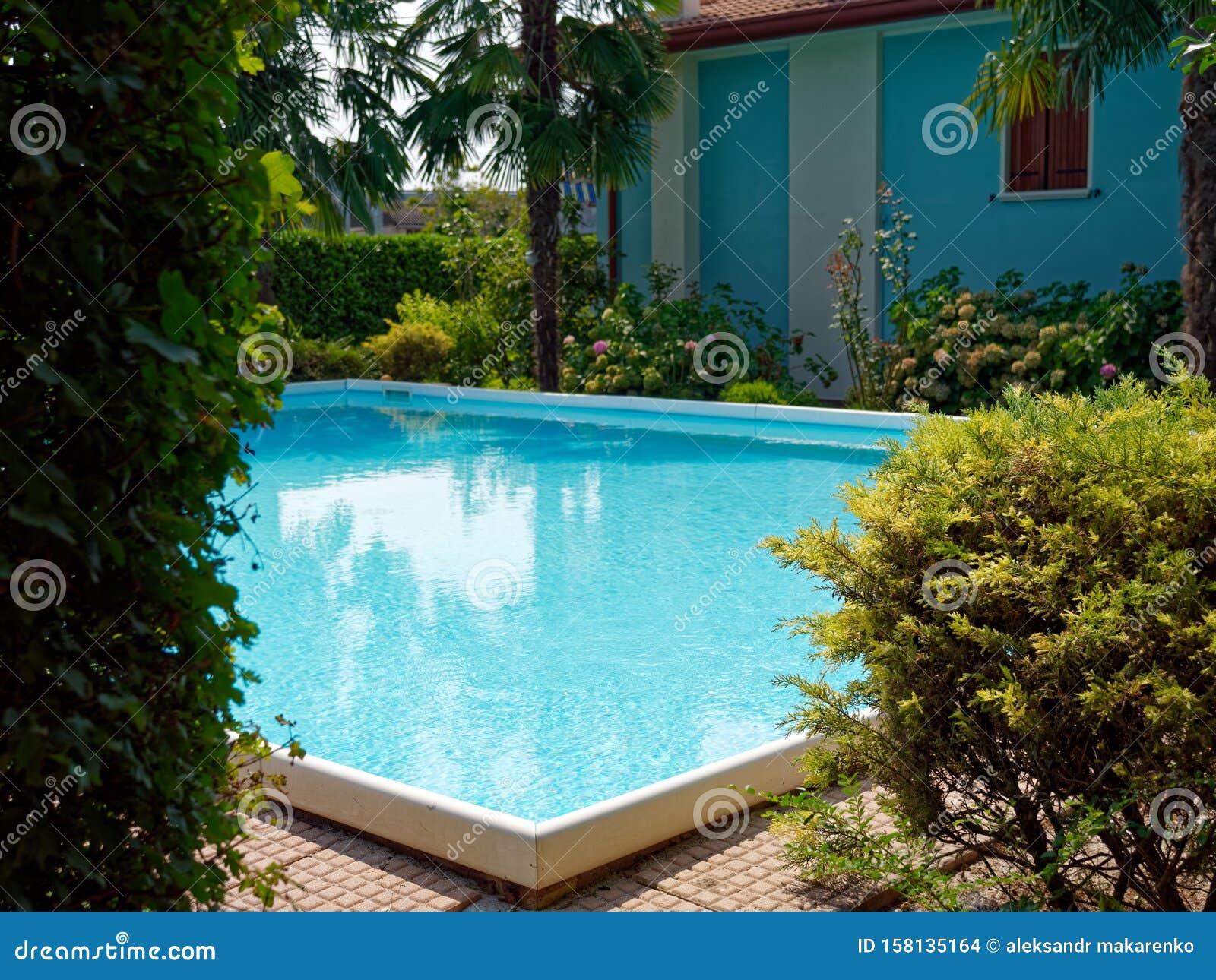 Pool with Blue Water among the Green Oasis Stock Photo - Image of coast ...